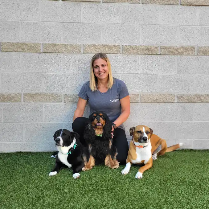 Whiskers Resort & Pet Spa | About Us | Grand Rapids, MI