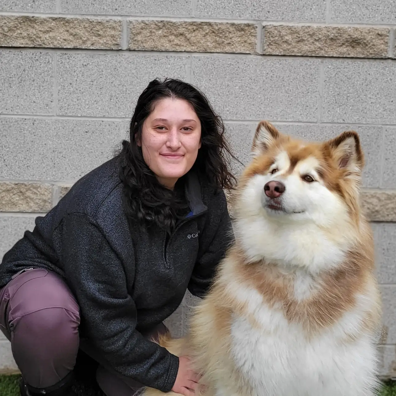 Whiskers Resort & Pet Spa | Pet Spa | Grand Rapids, MI