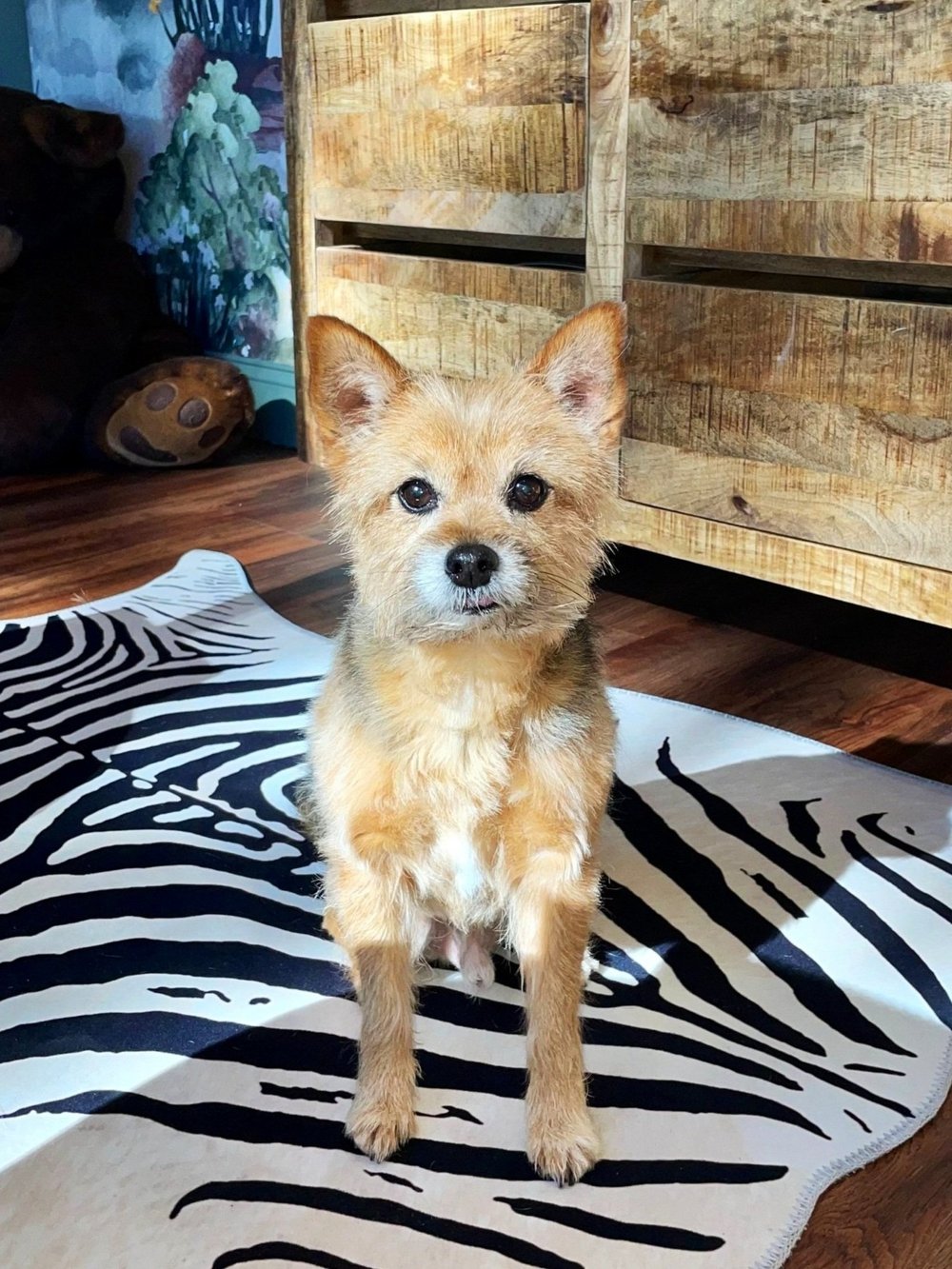 Meet Our Counselors | The Banyan Tree Center