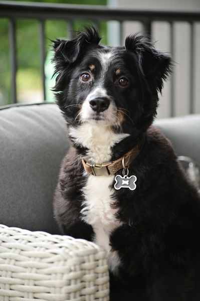 Meet Our Counselors | The Banyan Tree Center