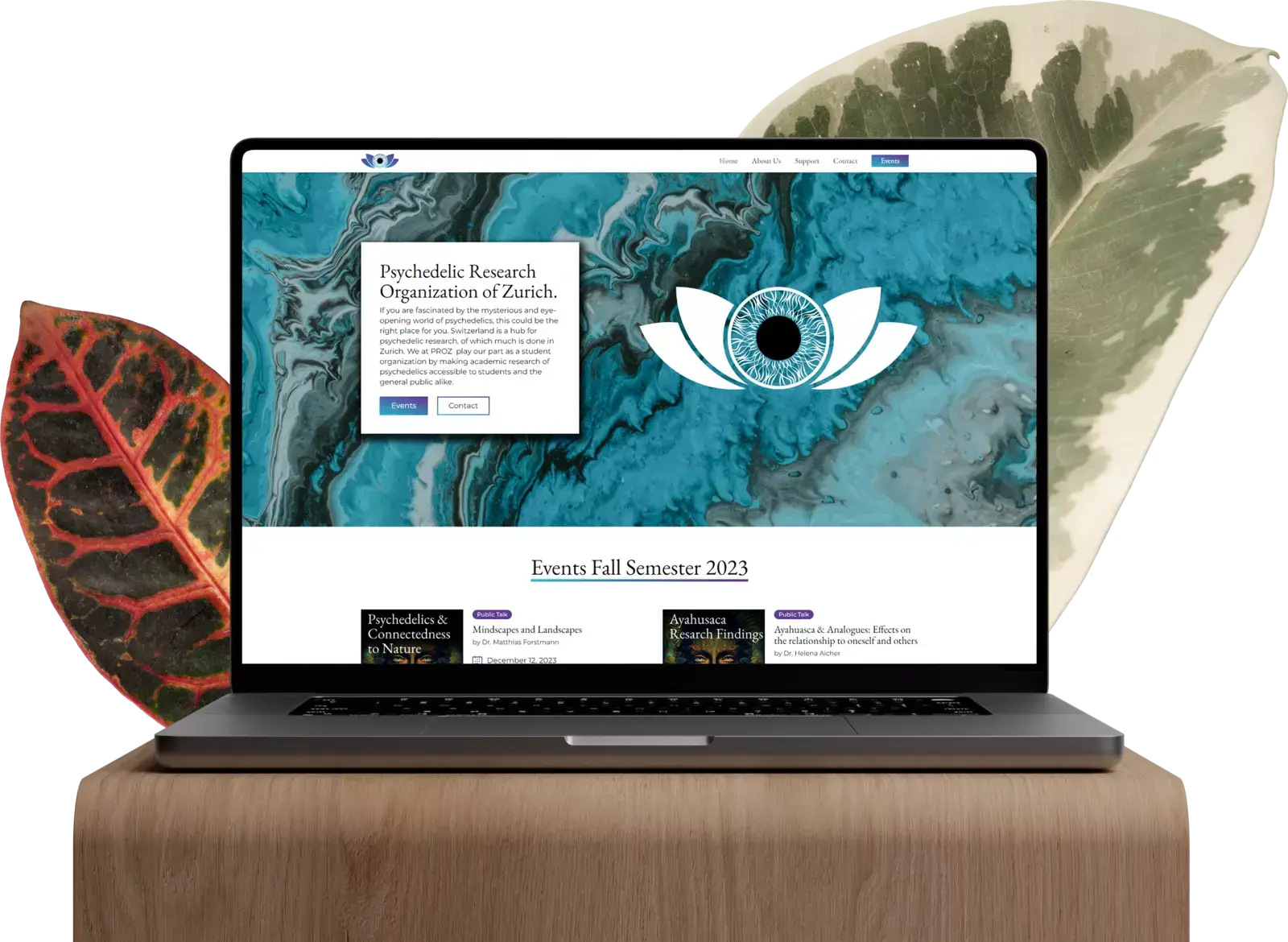 Webseiten für Schweizer KMU & Selbstständige