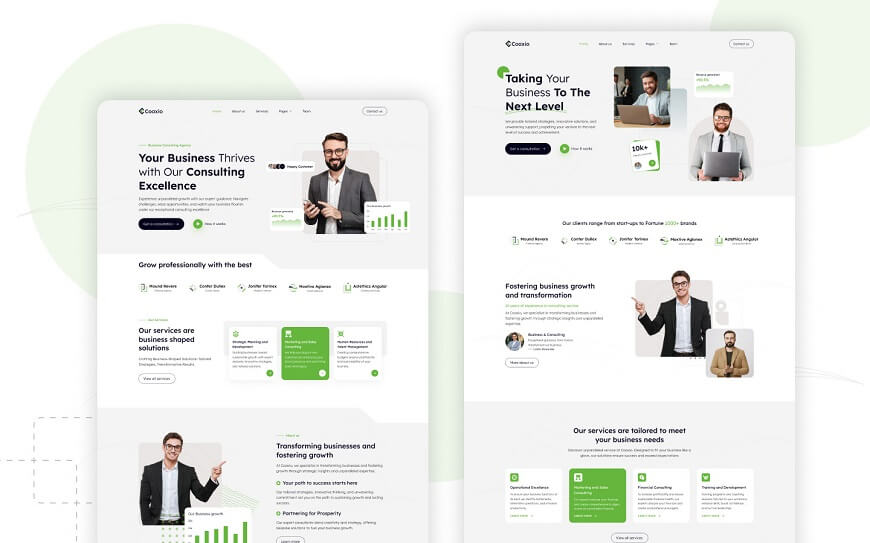 Coaxio - Consulting Website Template - Brandbes