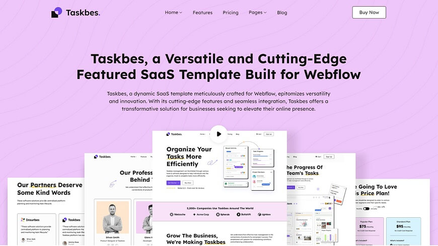 Taskbes - SaaS Website Template - Brandbes