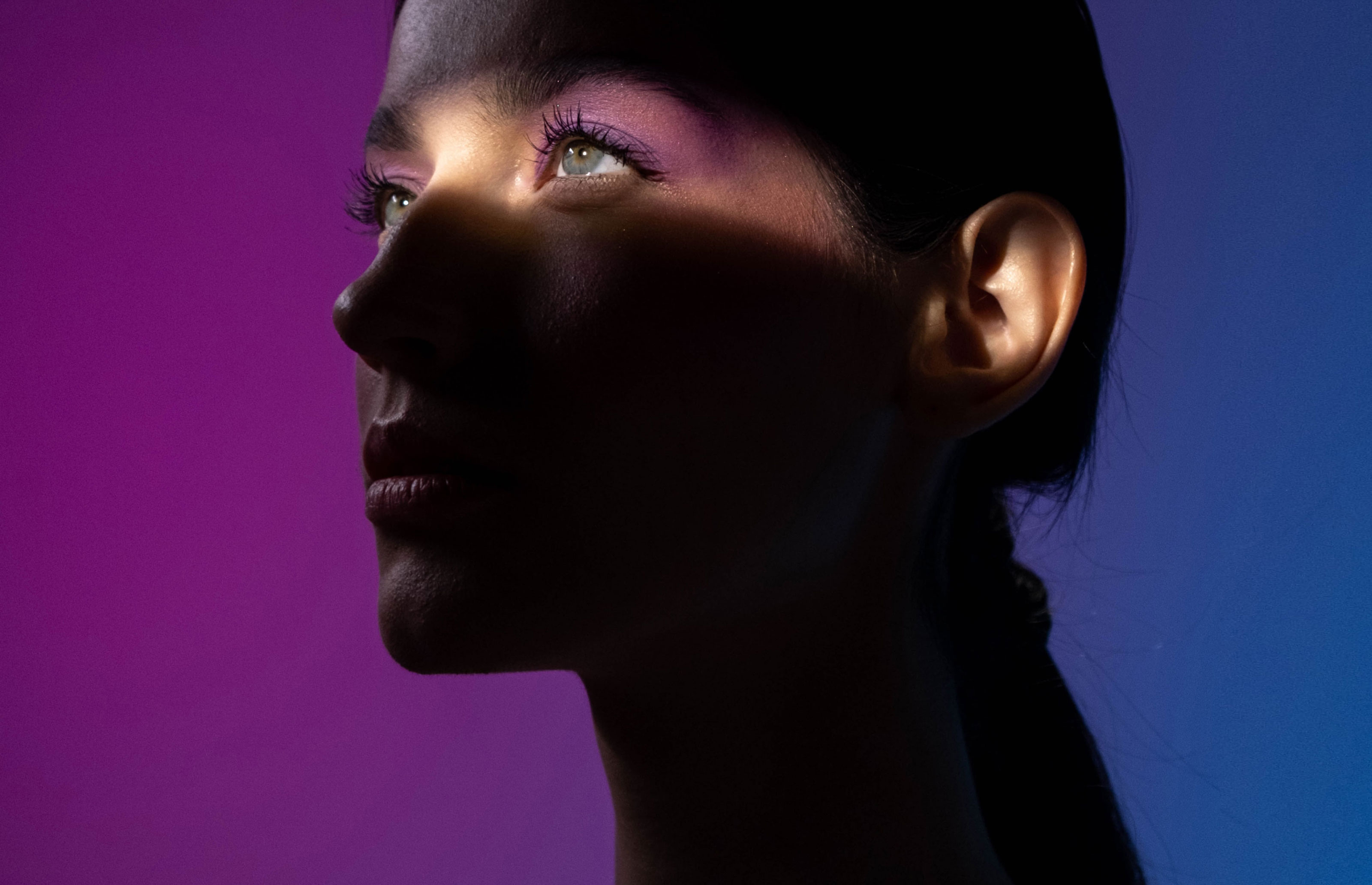 Terminology management | espell multilingual communications