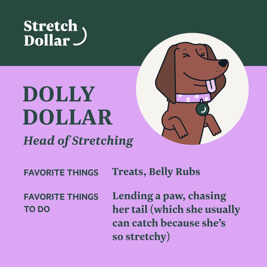Meet Dolly the Wiener Dog, StretchDollar's beloved mascot!