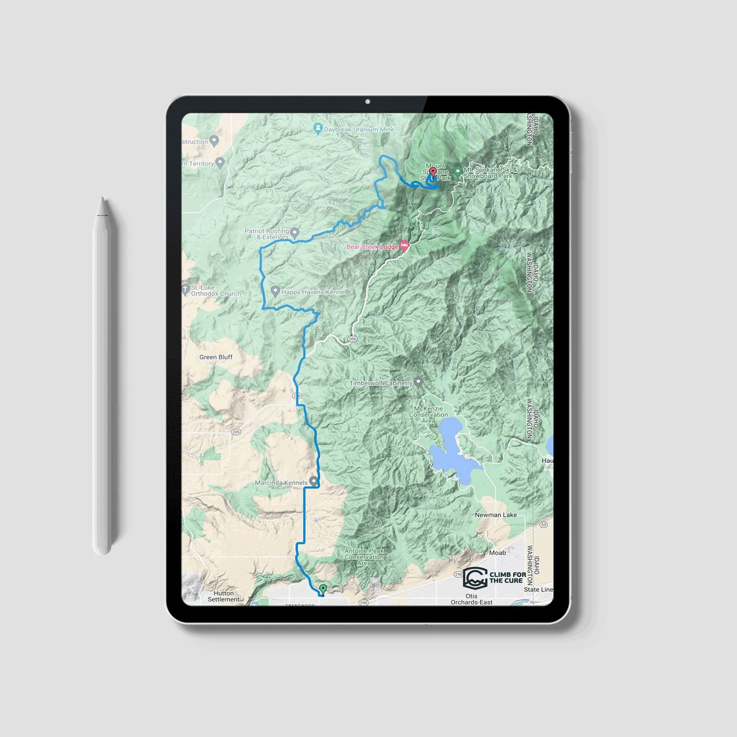 Climb for the Cure - A Race to End Cancer