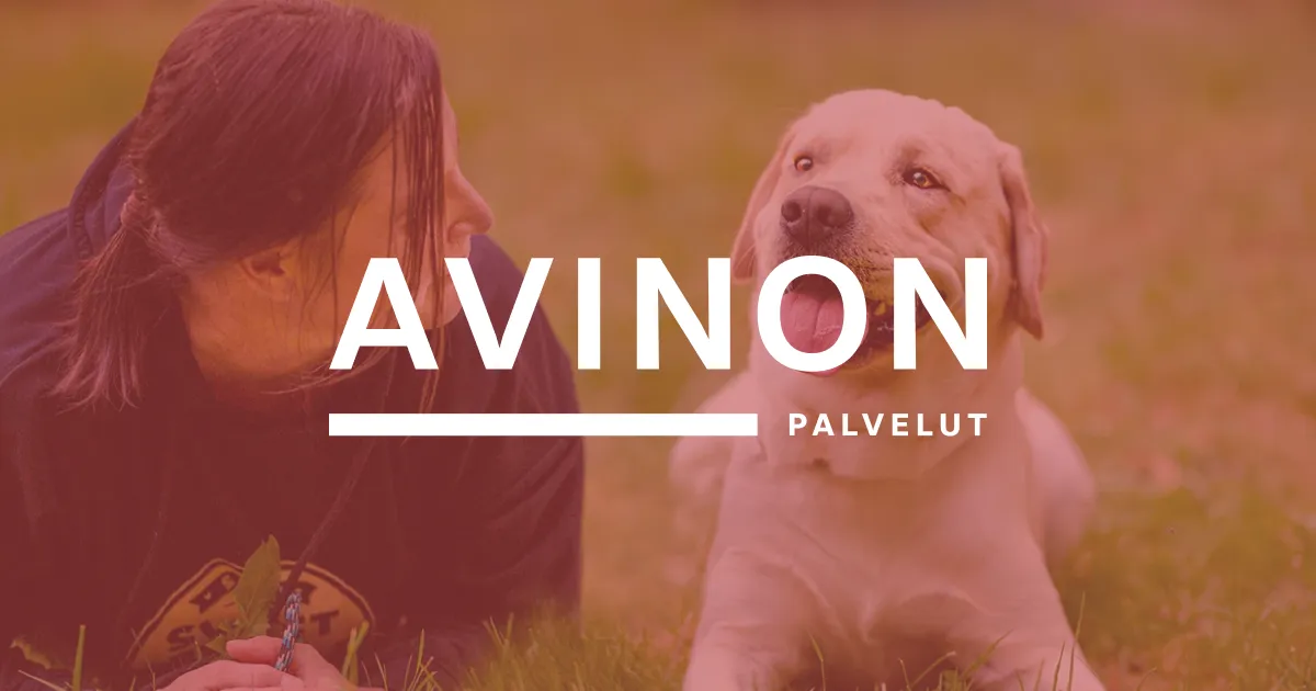 Avinon Palvelut | Nepsy ja koira-avusteista valmennusta