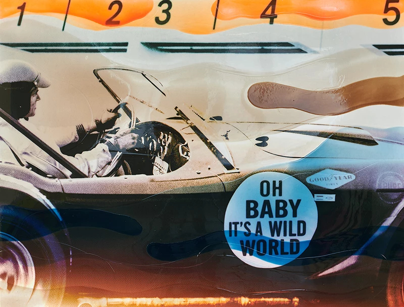 It's a Wild World by Jorg Doring | Galerie Sept