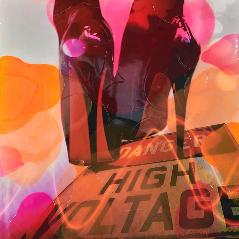 High Voltage by Jorg Doring | Galerie Sept