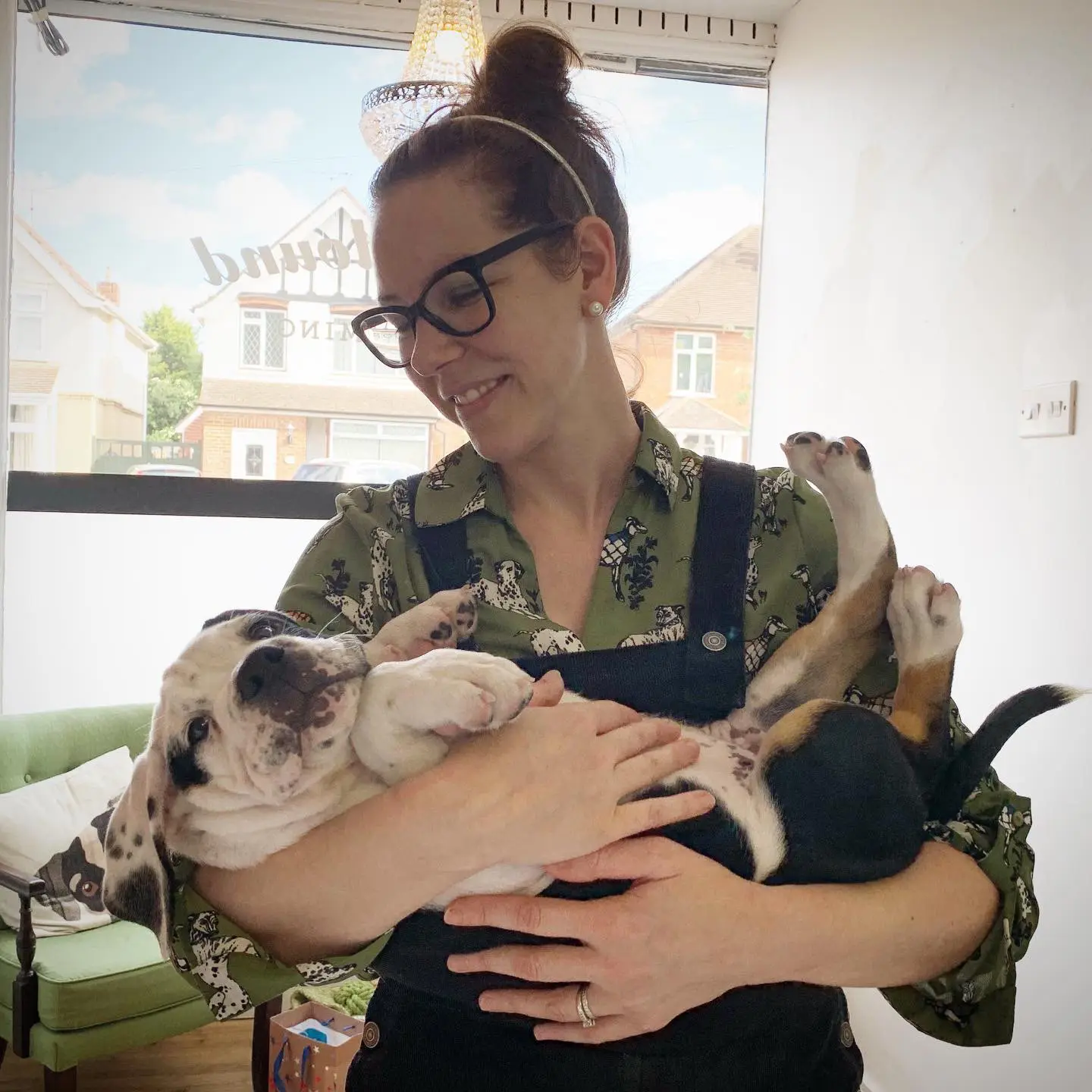 About Us | Upper Hound Dog Grooming