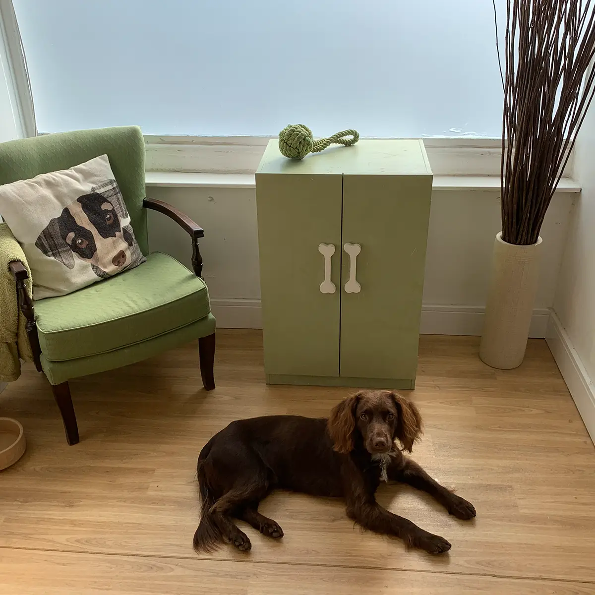 About Us | Upper Hound Dog Grooming