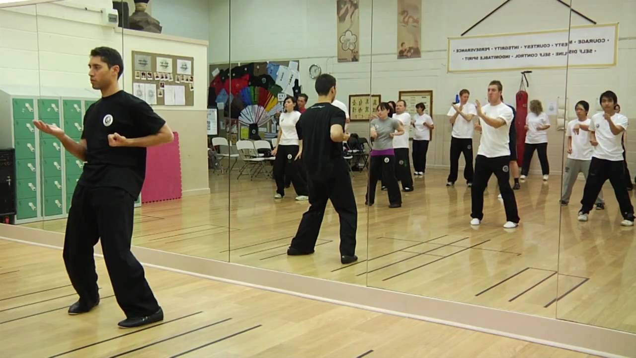 Empower Your Kung Fu School with Martialytics: The Ultimate Kung Fu ...