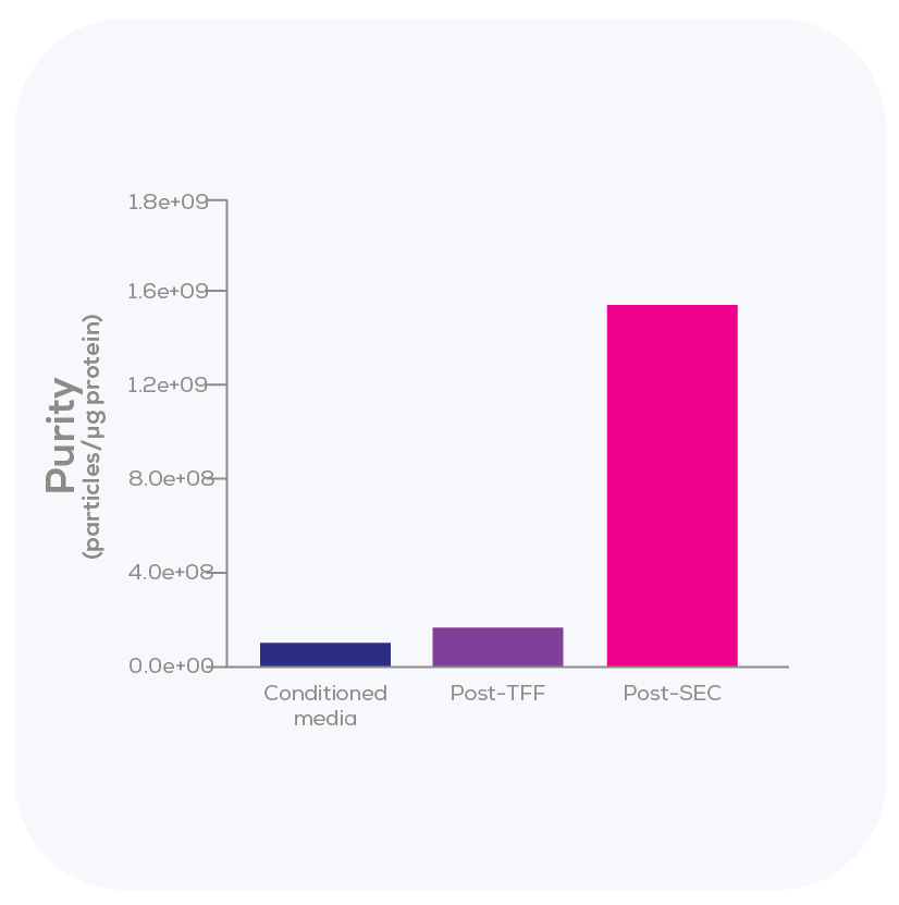 Customised Extracellular Vesicles Separation Solutions
