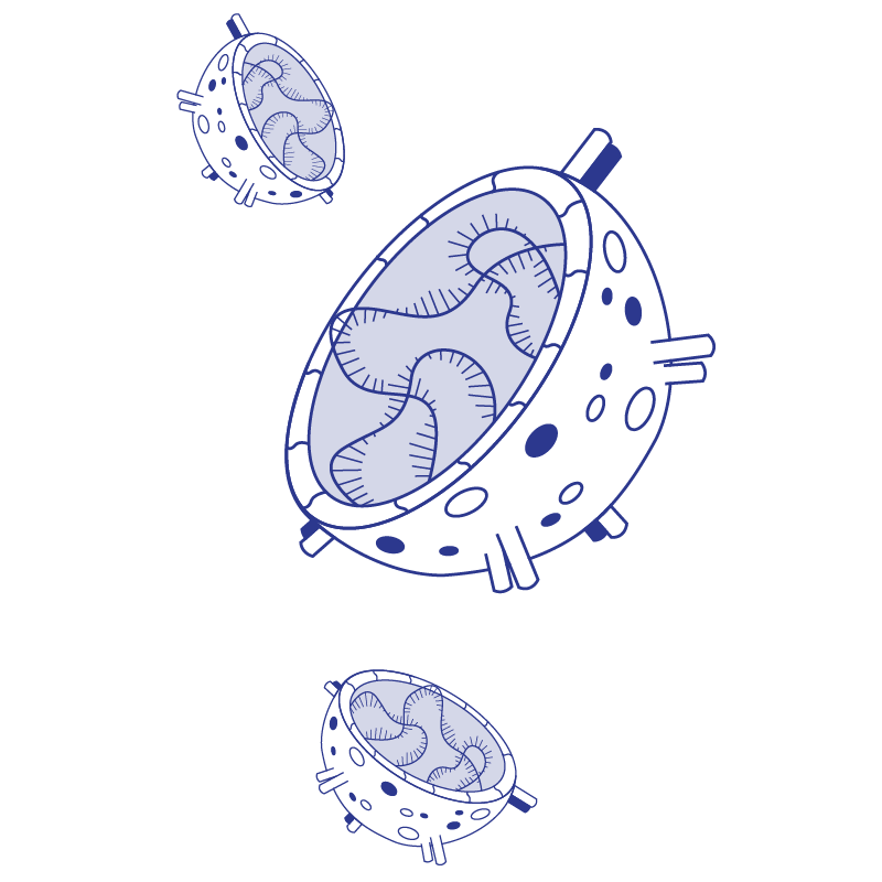 GMP and Regulatory Support for qEV Columns