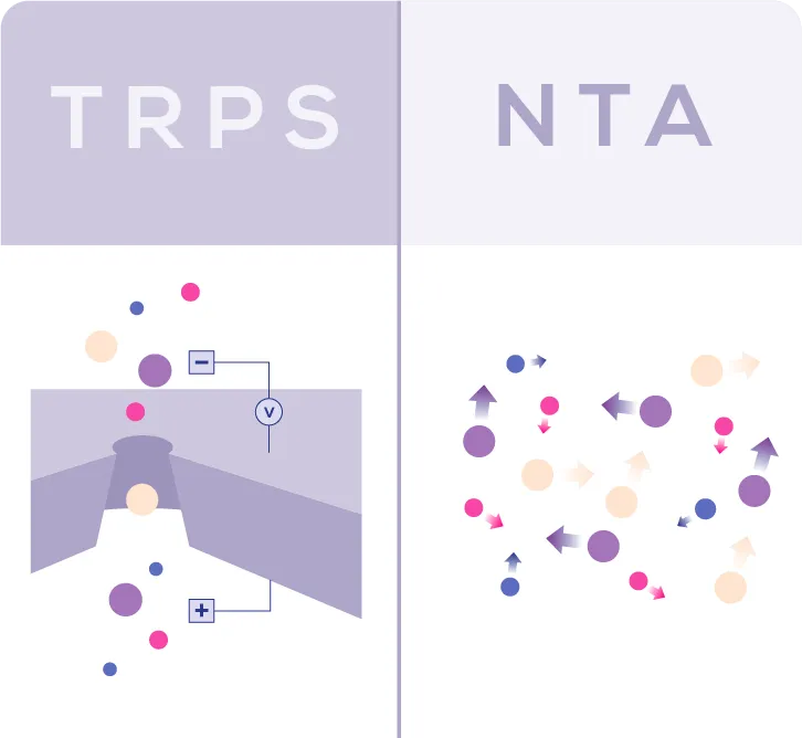 Make the Switch: Why Choose TRPS Over NTA?