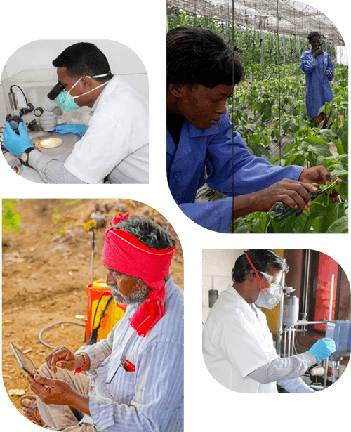 Join GSP Crop Science | Careers in Sustainable Farming