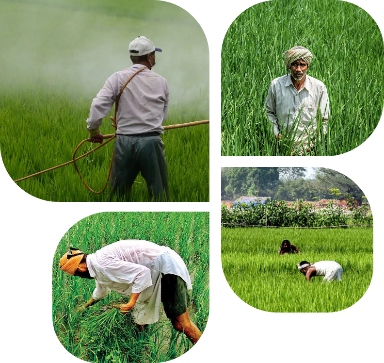 Effective Fungicides by GSP Crop Science Protect Your Crops from Disease