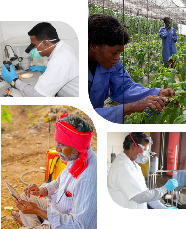 Powerful Herbicides by GSP Crop Science: Weed Control for Optimal Crop ...