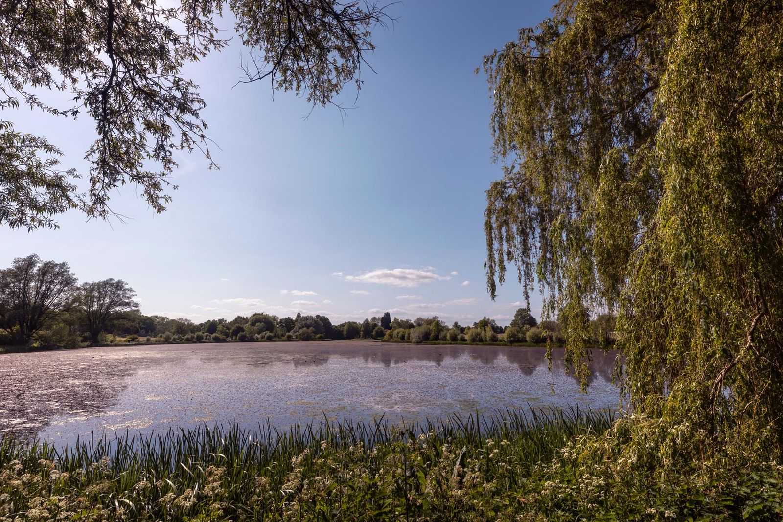 Abbots Ripton Estate | About The Estate