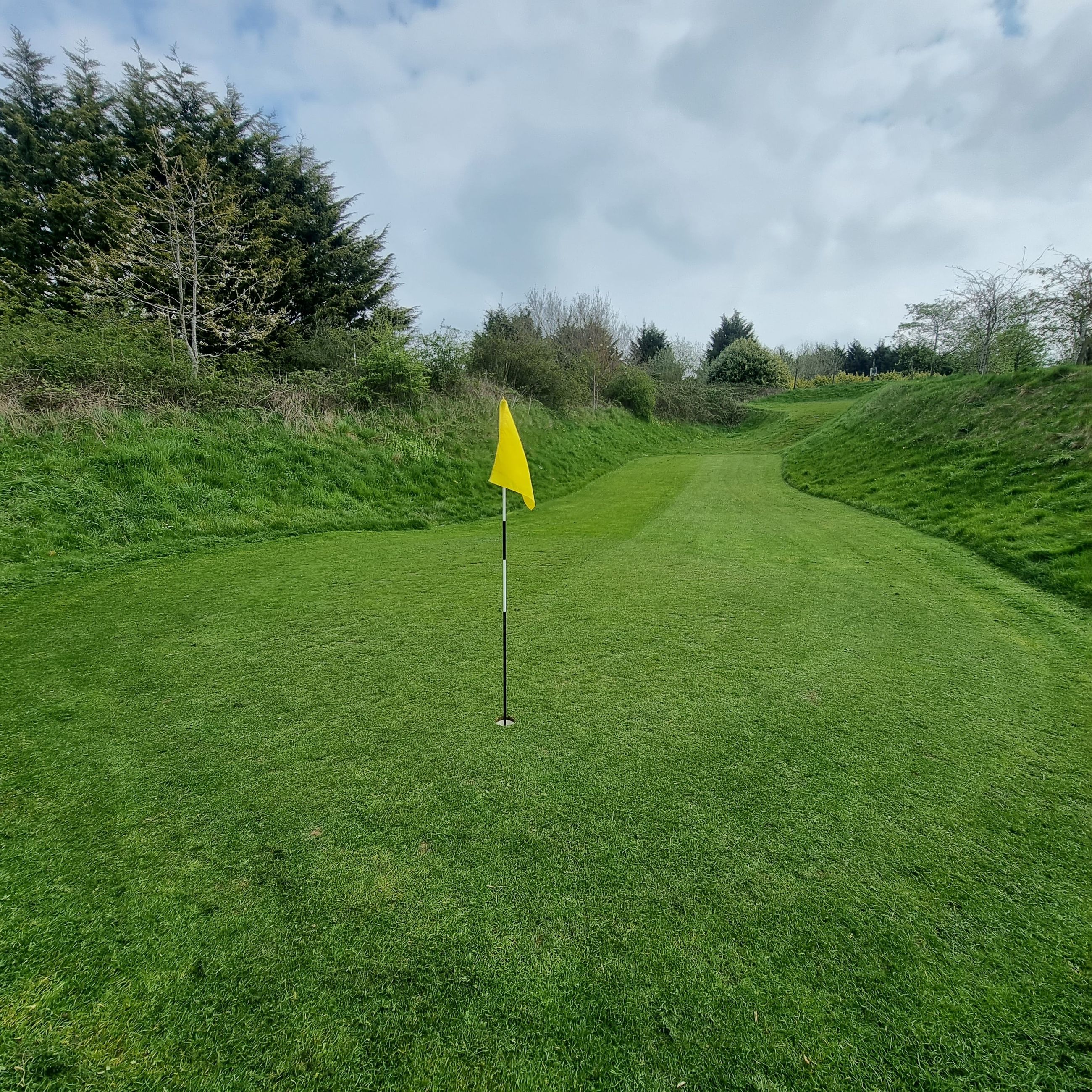 Pitch & Putt