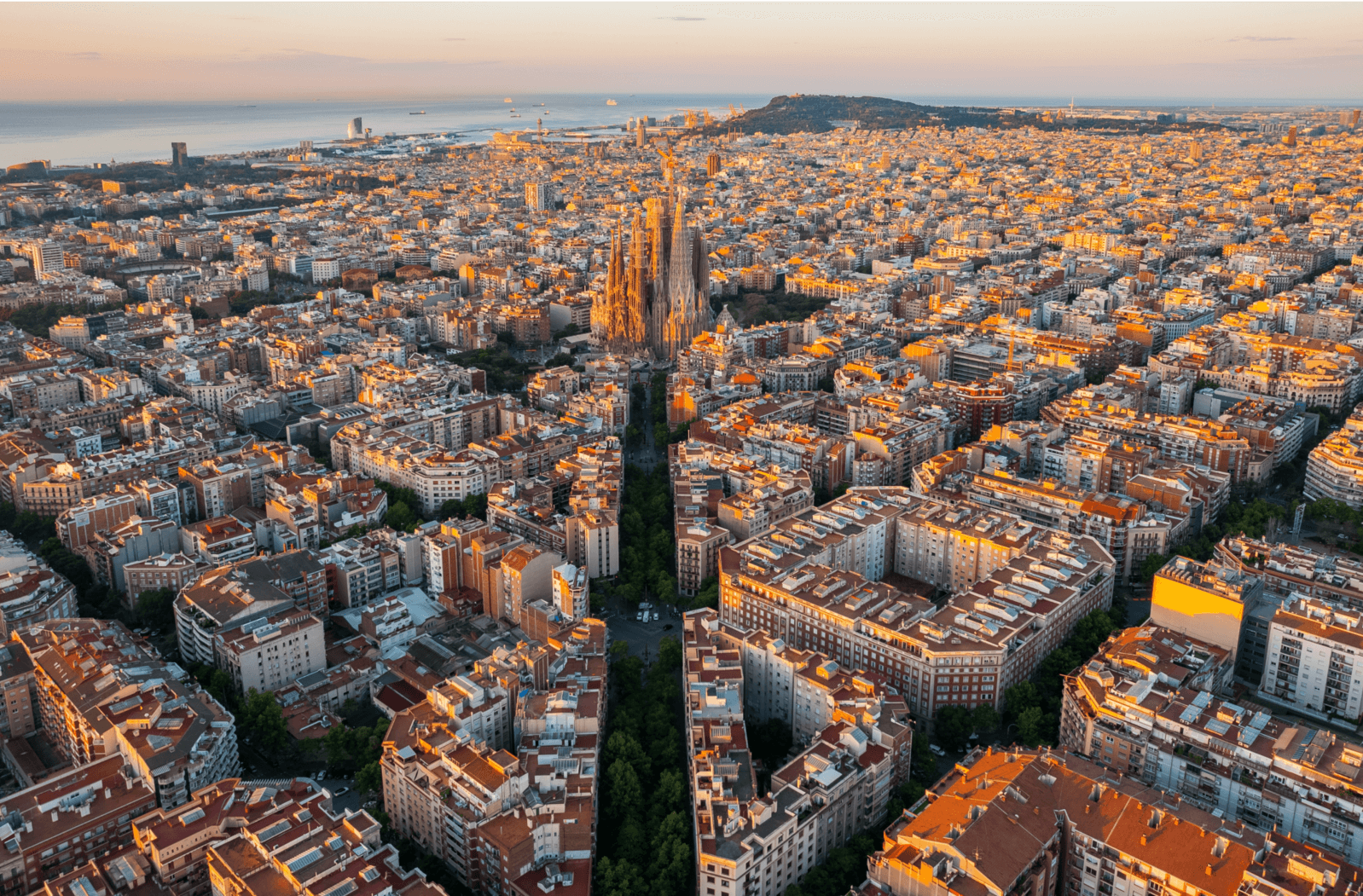 Hire employees in Spain | Employer of Record | WFA tech