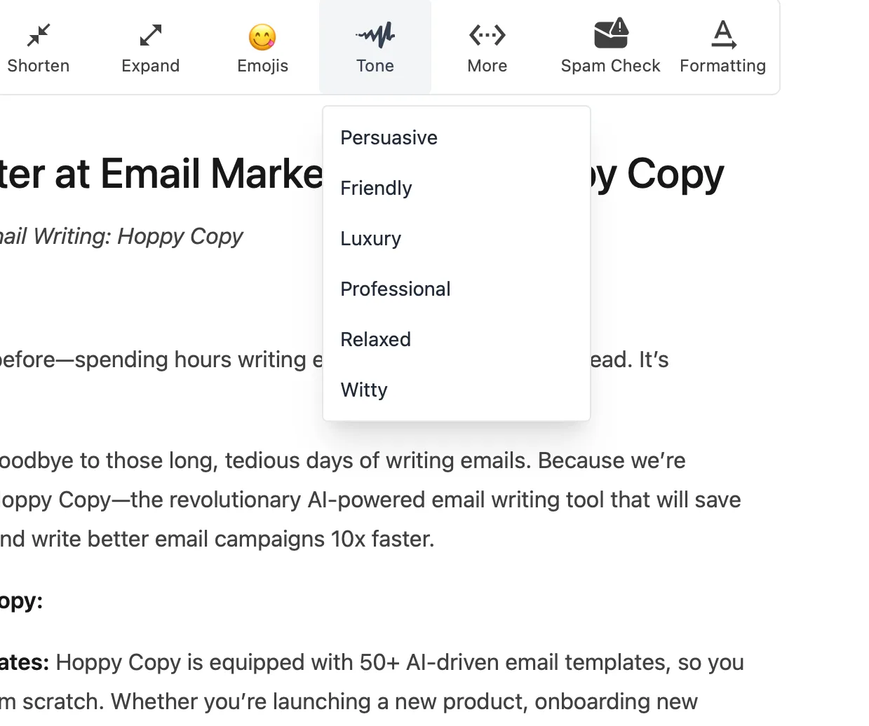AI Copy Editor - Editing & Writing Tools - Hoppy Copy