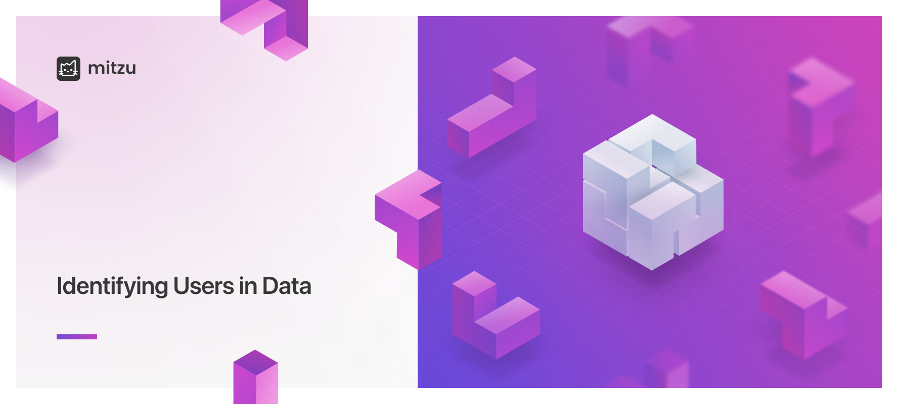 Identifying Users In The Data Warehouse - Mitzu