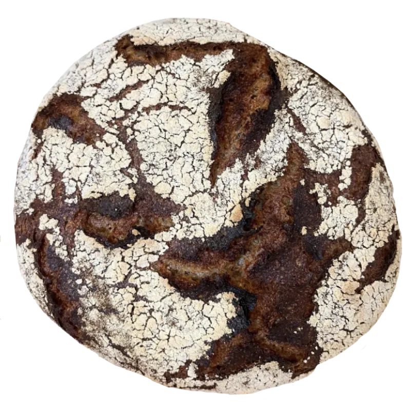 Everyday Bread | Ecommerce