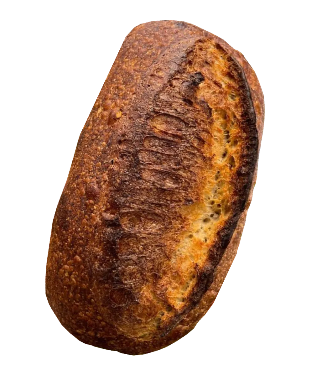 Everyday Bread | Ecommerce