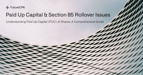 PUC of Shares: Taxation and Corporate Finance Insights