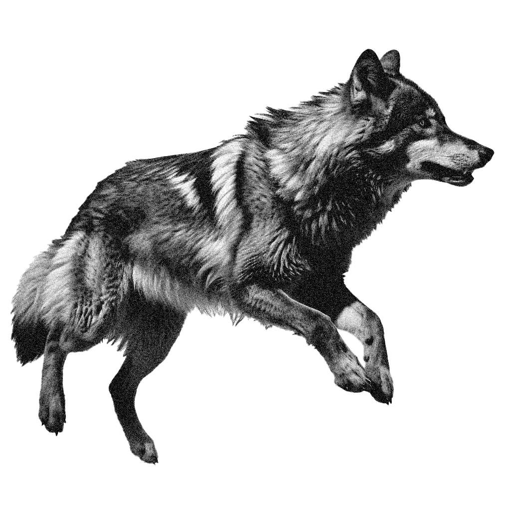 Rhythm & Howl Menus: Fresh, Local, and Seasonal Dishes