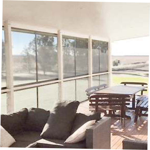 Fly Screen Windows | Camden Security Doors