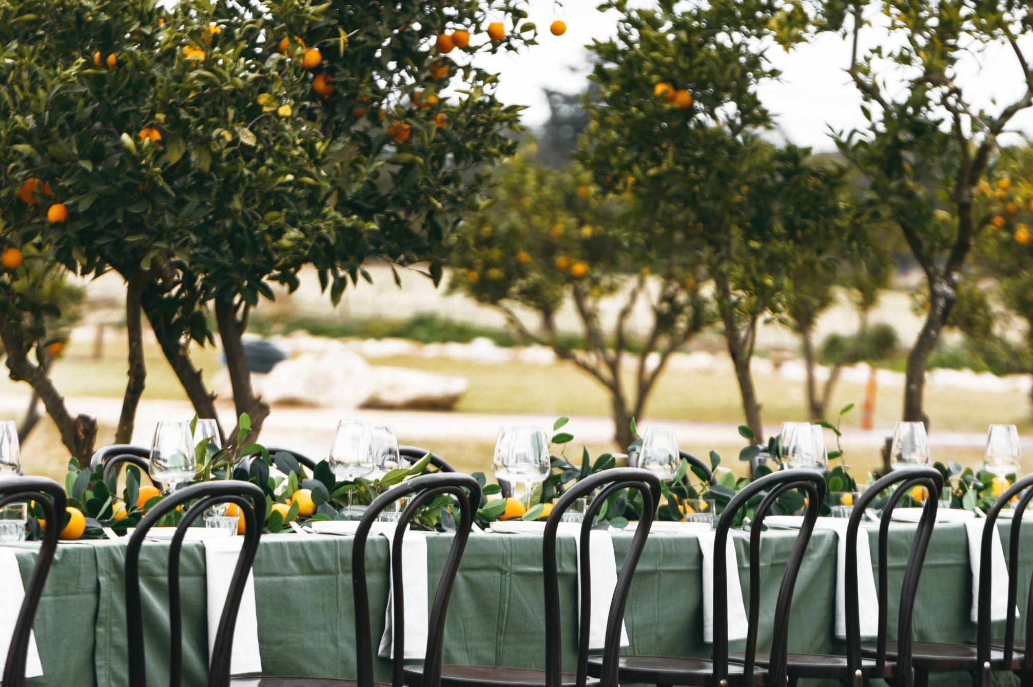 The Orange Orchard – Spaces at the ORCHARD Penrith