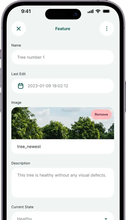 Mergin Maps: See the Most Popular Features