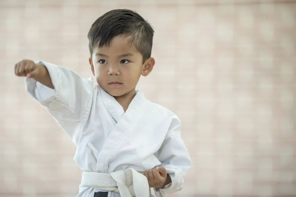 Kovar's Blog: Essential Tips & Insights on Martial Arts