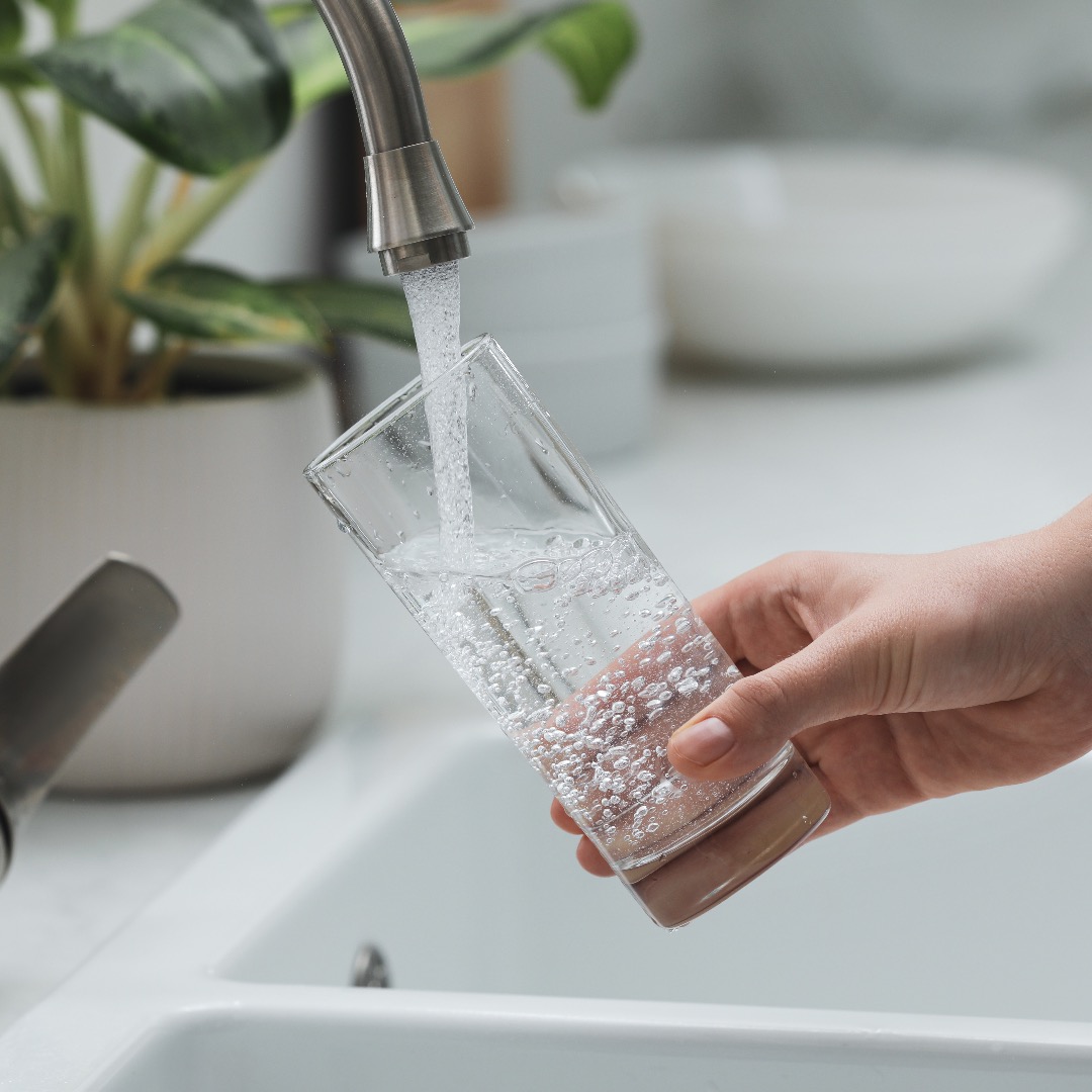 CELYS™ Compostable Polyester — Home