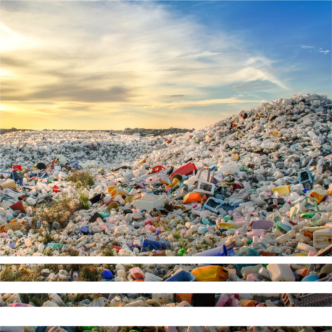 CELYS™ Biodegradable Polyester — Sustainability