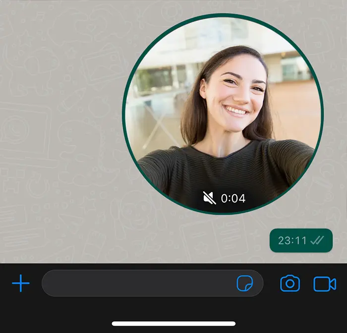 Send an Instant Video Message on WhatsApp