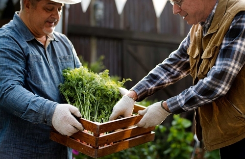 Hello Credit Union | A Florida Credit Union