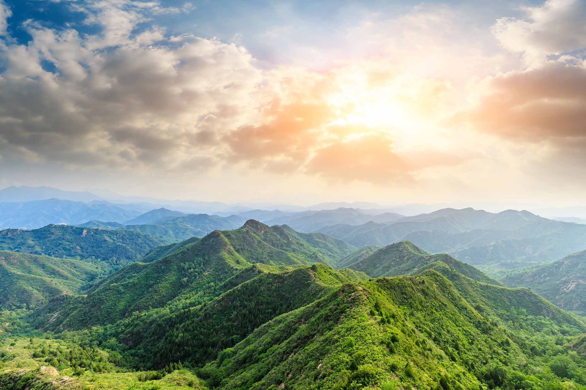 Who we are | Neural Alpha