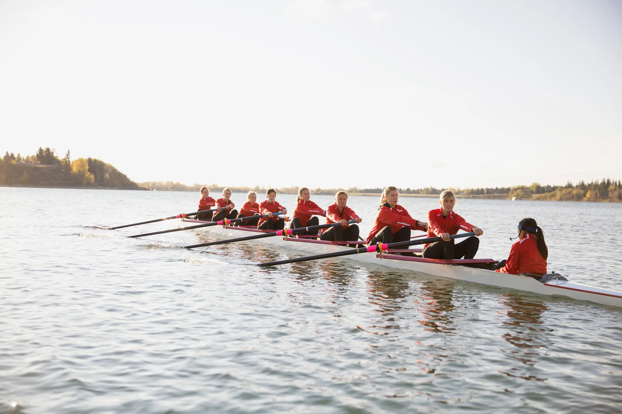 TraCorp - Learning & Technology to help you go further, faster.