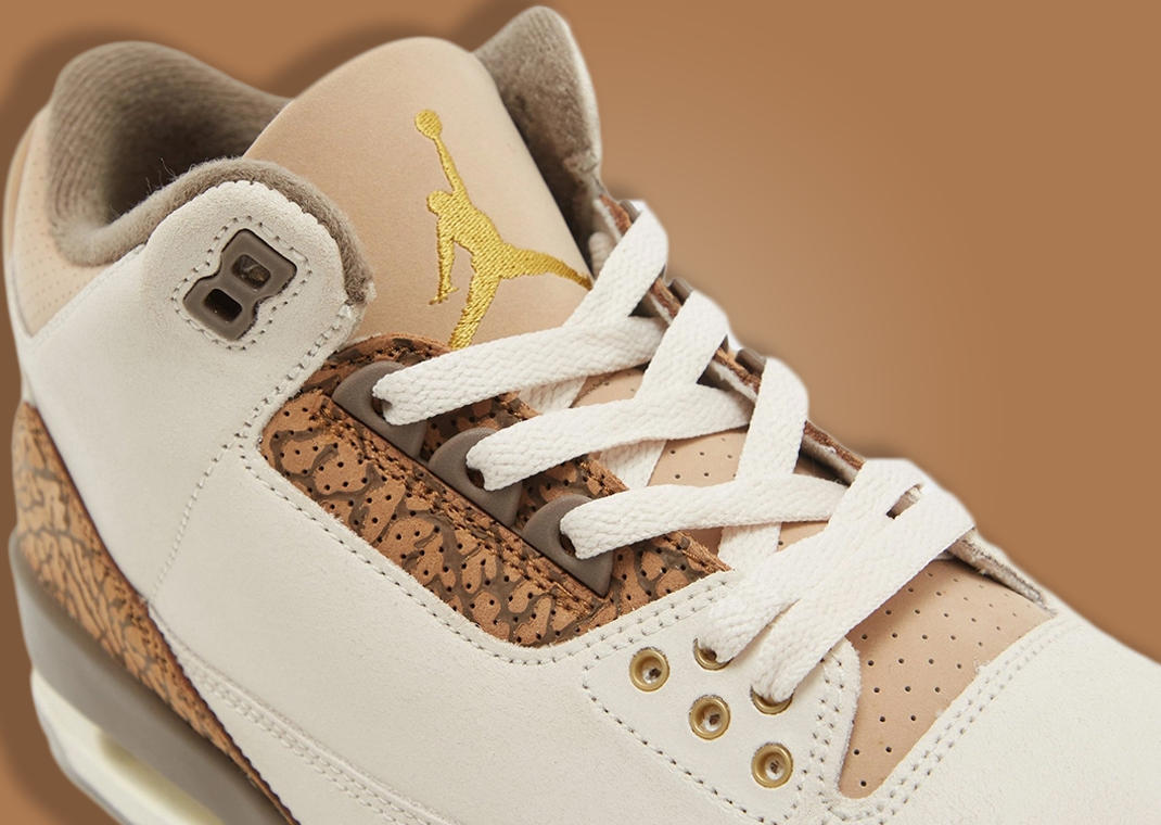 Jordan Oreo 3