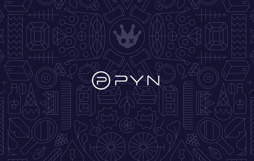 Pyn Capital | Financing for businesses like yours.