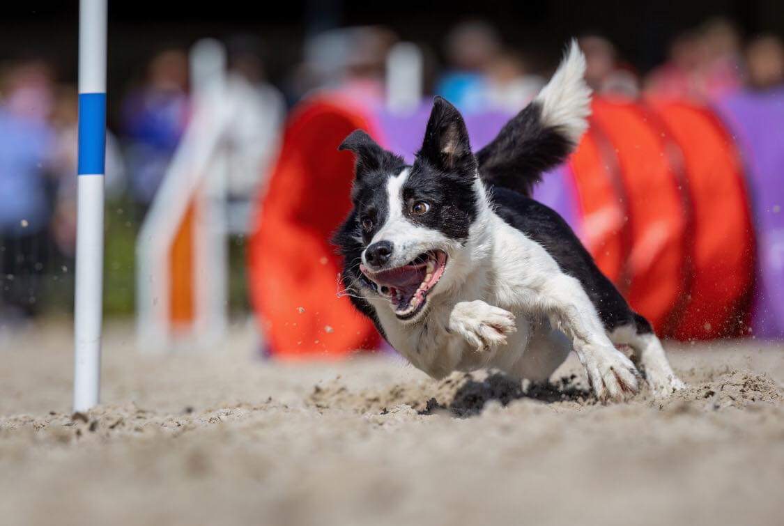 AgilityHub - Exceed Agility limits