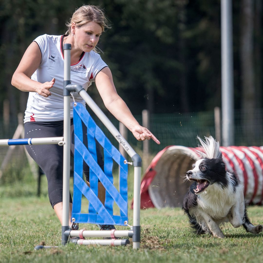 Anne Lenz - Agilityhub