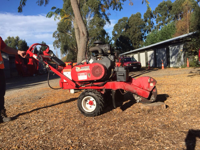 Stump Grinding and Removals | Commercial Services | Treetech