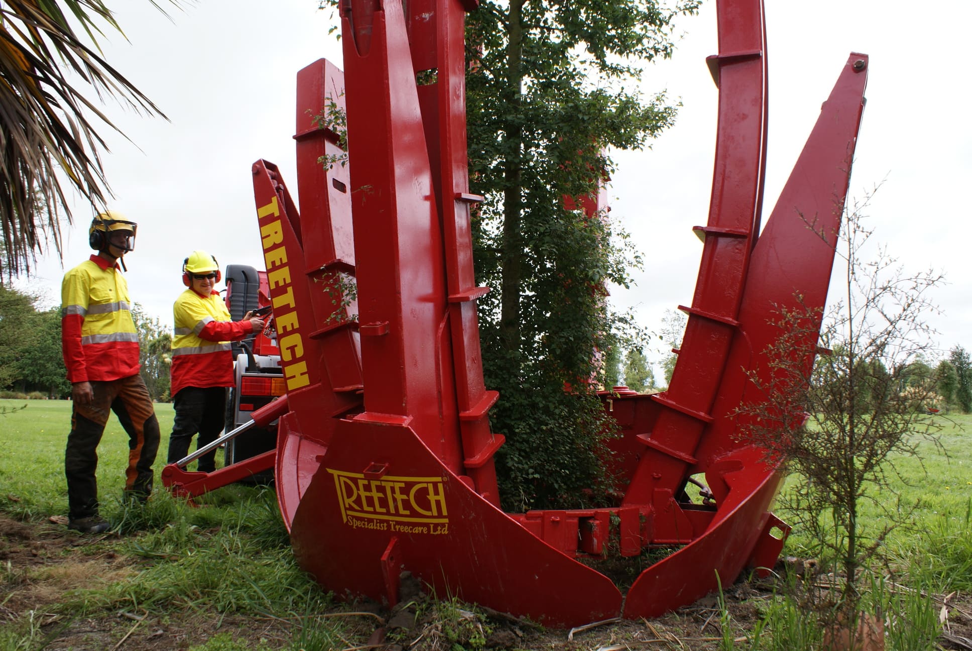 Tree Transplantation | Commercial Services | Treetech