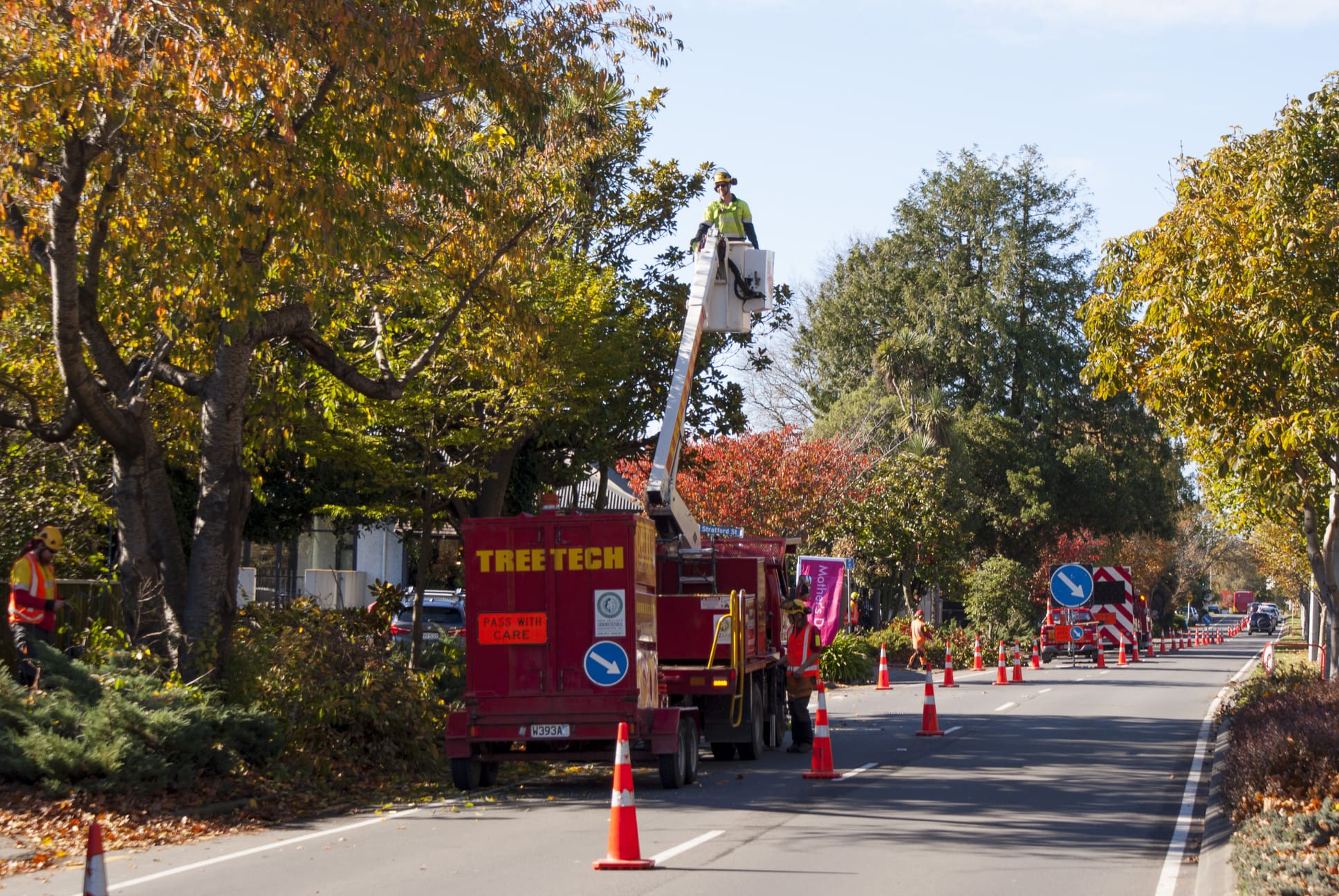 Reduction and Shaping | Tree Lopping | Treetech