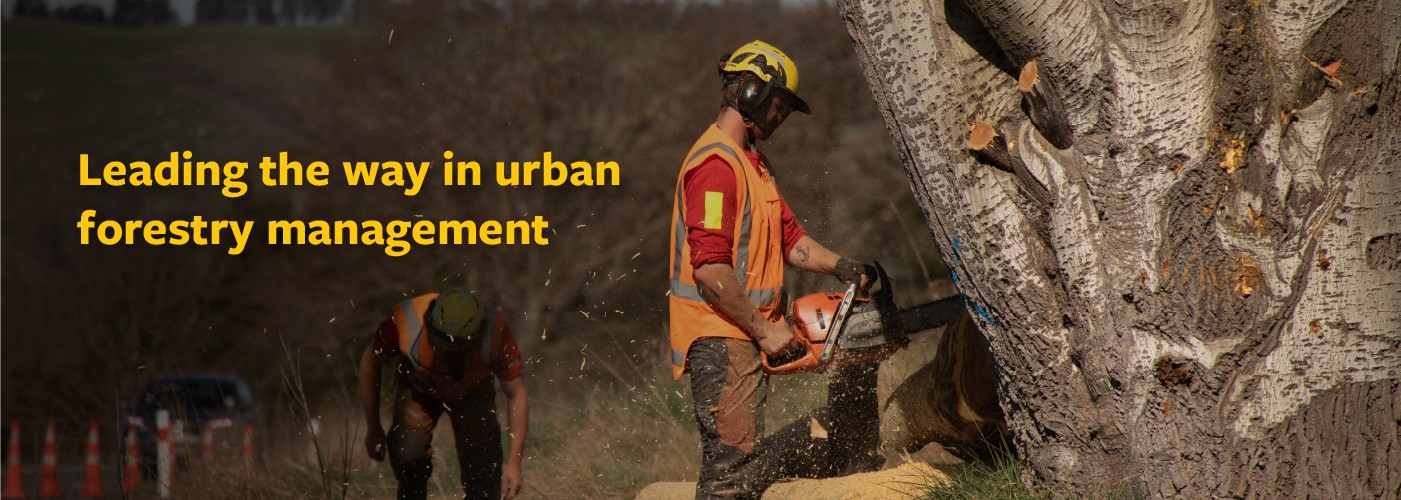 Treetech | Careers | Treetech's Arboricultural Apprenticeship Program