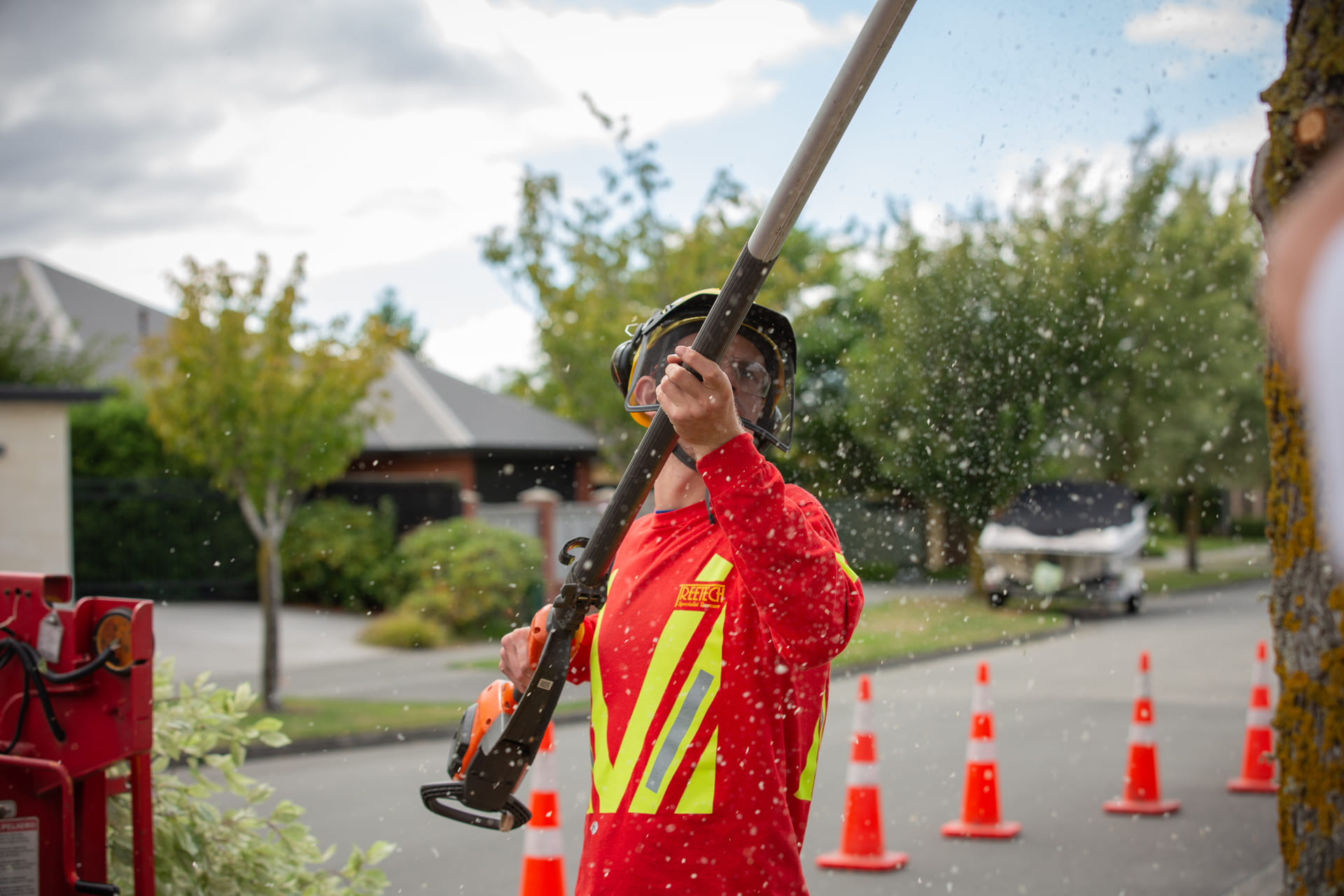 Treetech | Christchurch and Wellington Treecare
